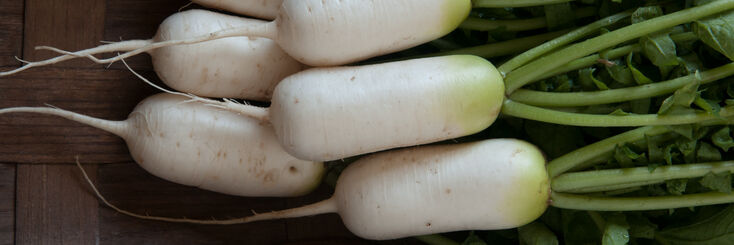 Daikon Radish Seeds | Johnny's Selected Seeds