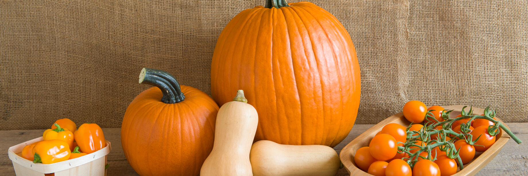 Seeds Bred by Johnny's | Johnny's Selected Seeds