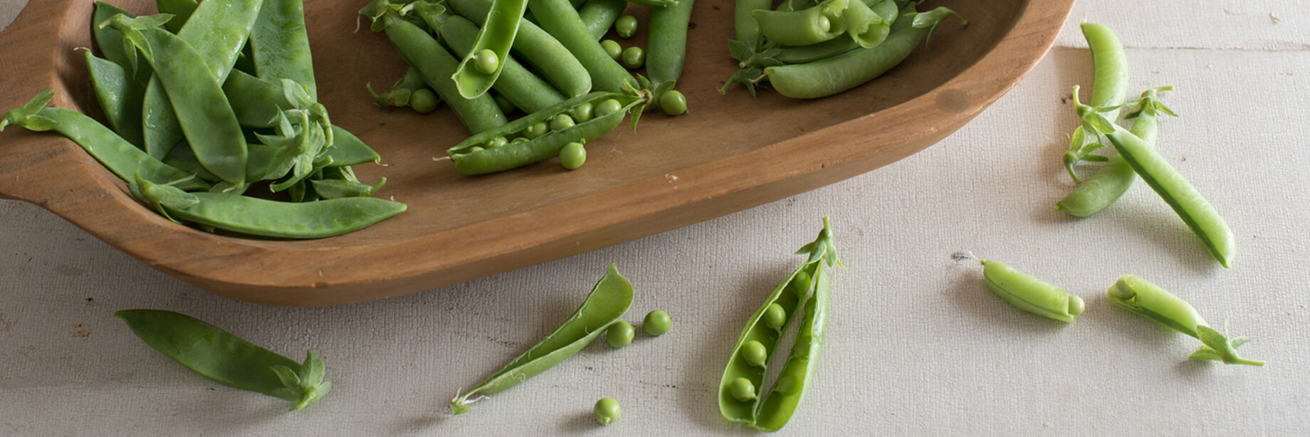 Pea Seeds - Organic Varieties | Johnny's Selected Seeds