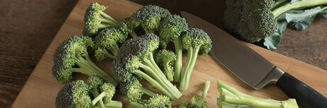 Broccoli Seeds - Organic Varieties | Johnny's Selected Seeds