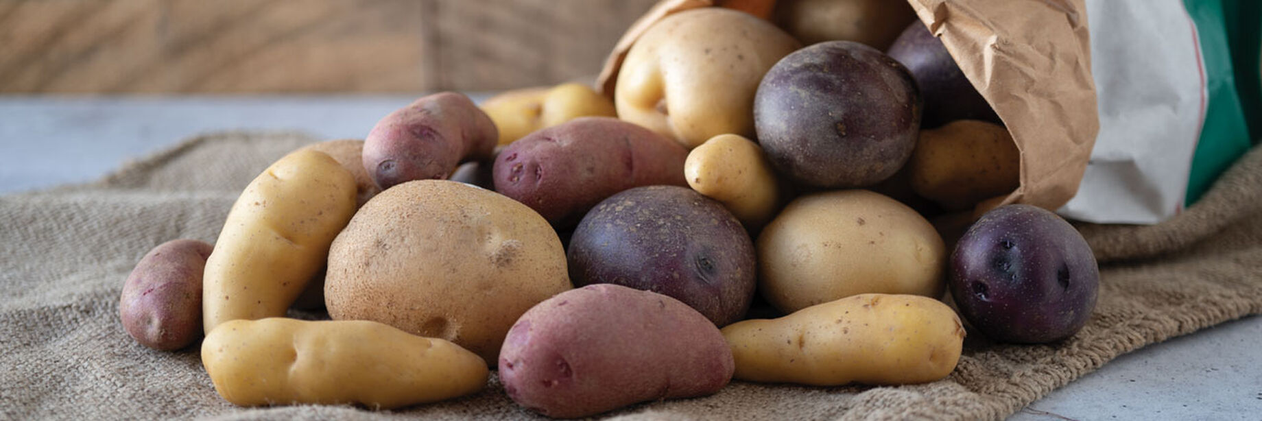 New Vegetable Seeds & Plants for 2026 | Johnny's Selected Seeds