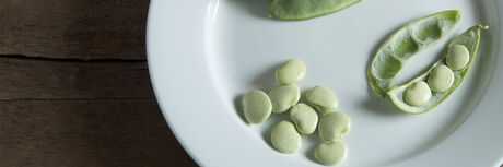 Lima Bean Seeds (Butter Bean Seeds) | Johnny's Selected Seeds