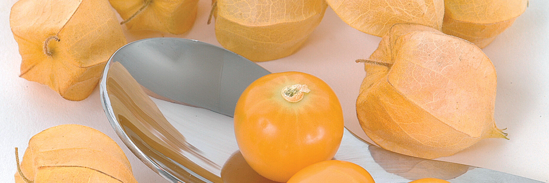 Organic Husk Cherry Seeds (Ground Cherry Seeds) | Johnny's Selected Seeds