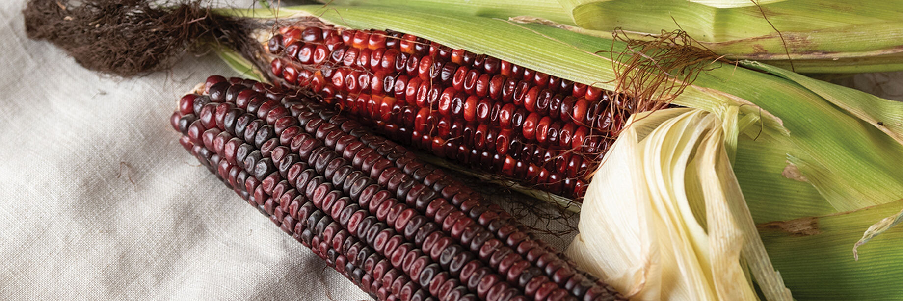 Heirloom Vegetable Seeds | Johnny's Selected Seeds