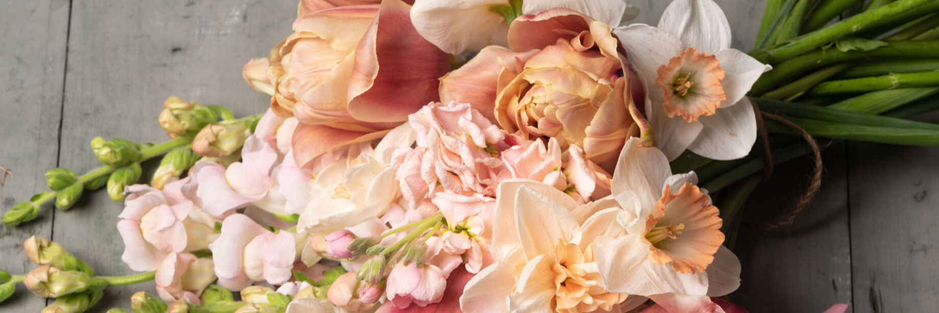 Flower Varieties in Shades of Blush | Johnny's Selected Seeds