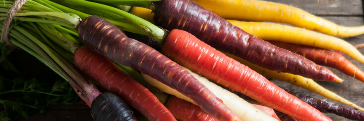 Colored Carrot Seeds - Purple, Yellow, Red | Johnny's Selected Seeds