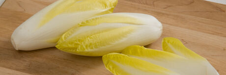 Belgian Endive Seeds - Organic Varieties | Johnny's Selected Seeds