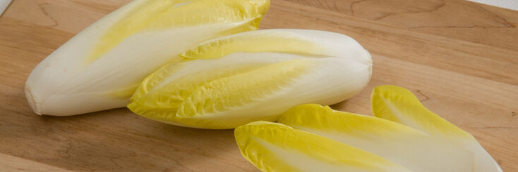 Belgian Endive Seeds - Organic Varieties | Johnny's Selected Seeds