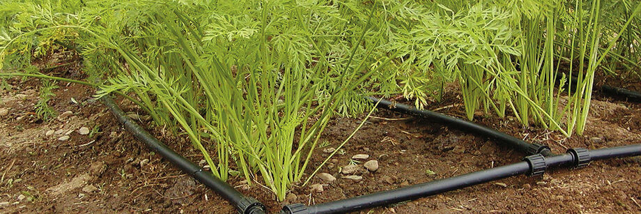 Watering & Irrigation Supplies | Johnny's Selected Seeds