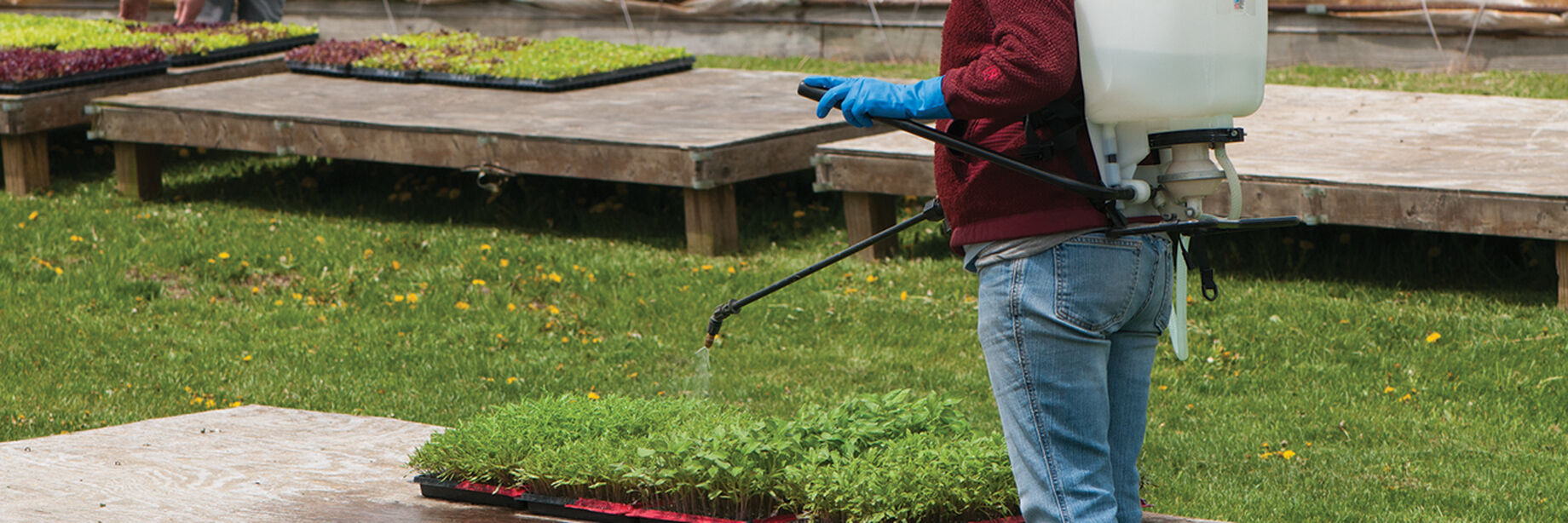 Pesticide Sprayers & Dusters for the Garden | Johnny's Selected Seeds