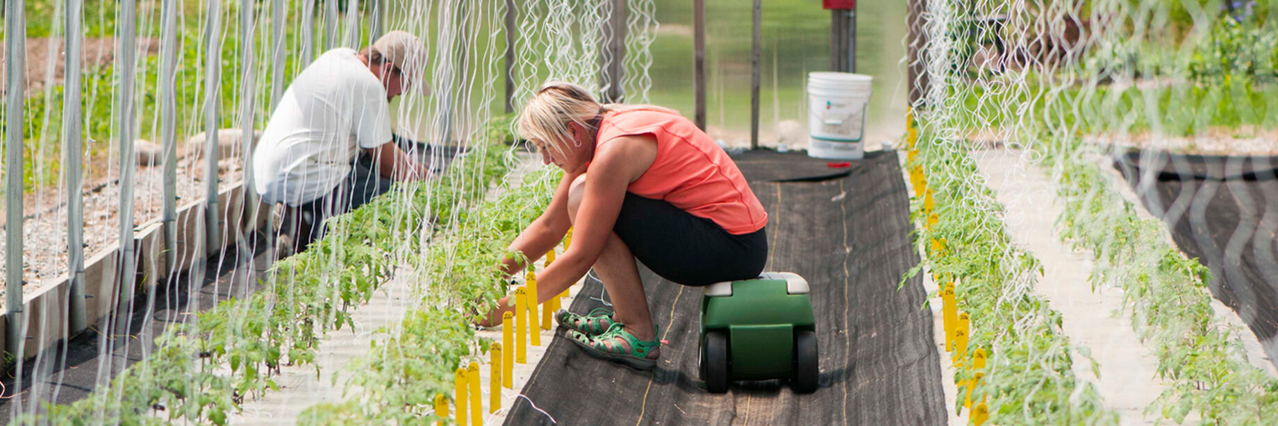 Trellising & Crop Supports | Johnny's Selected Seeds