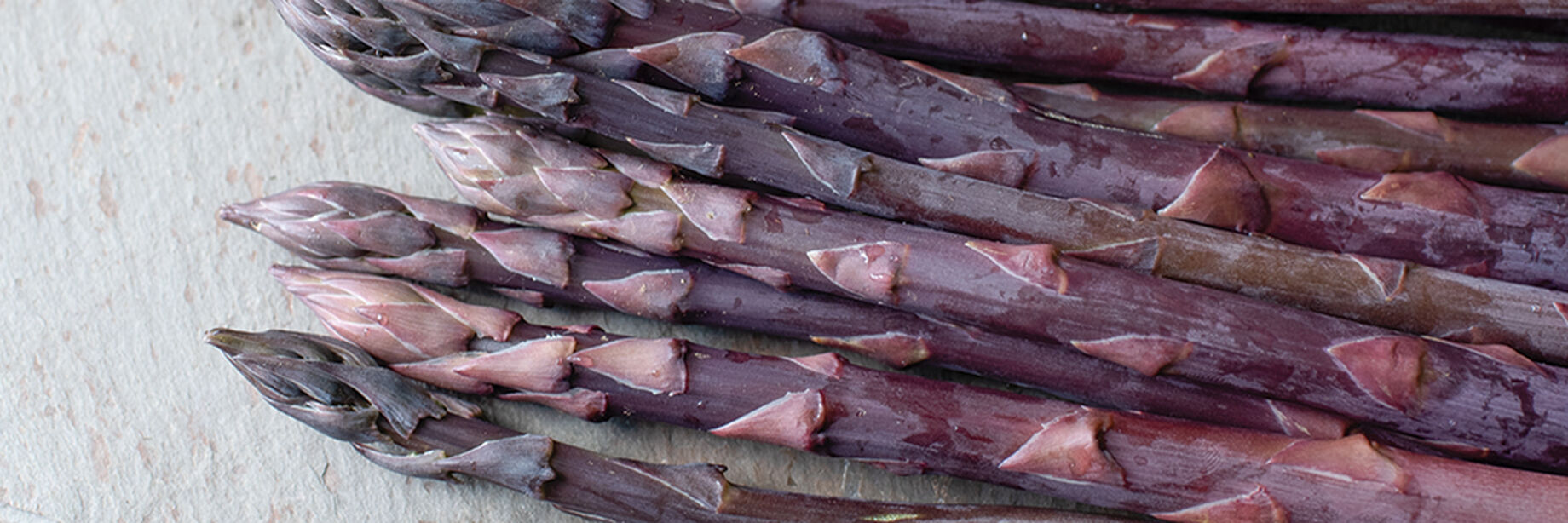 Asparagus Crowns | Johnny's Selected Seeds