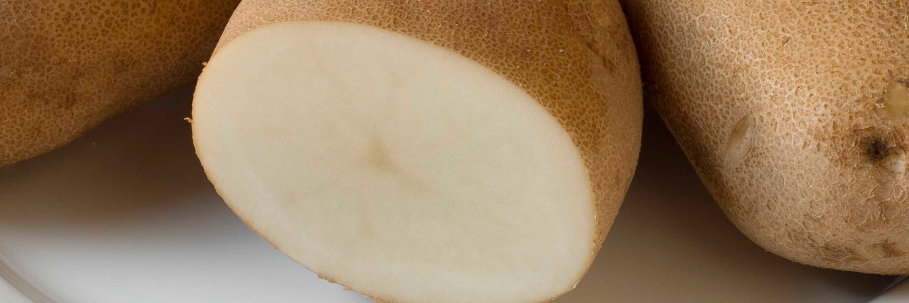 Certified Seed Potatoes - Organic & Heirloom | Johnny's Selected Seeds