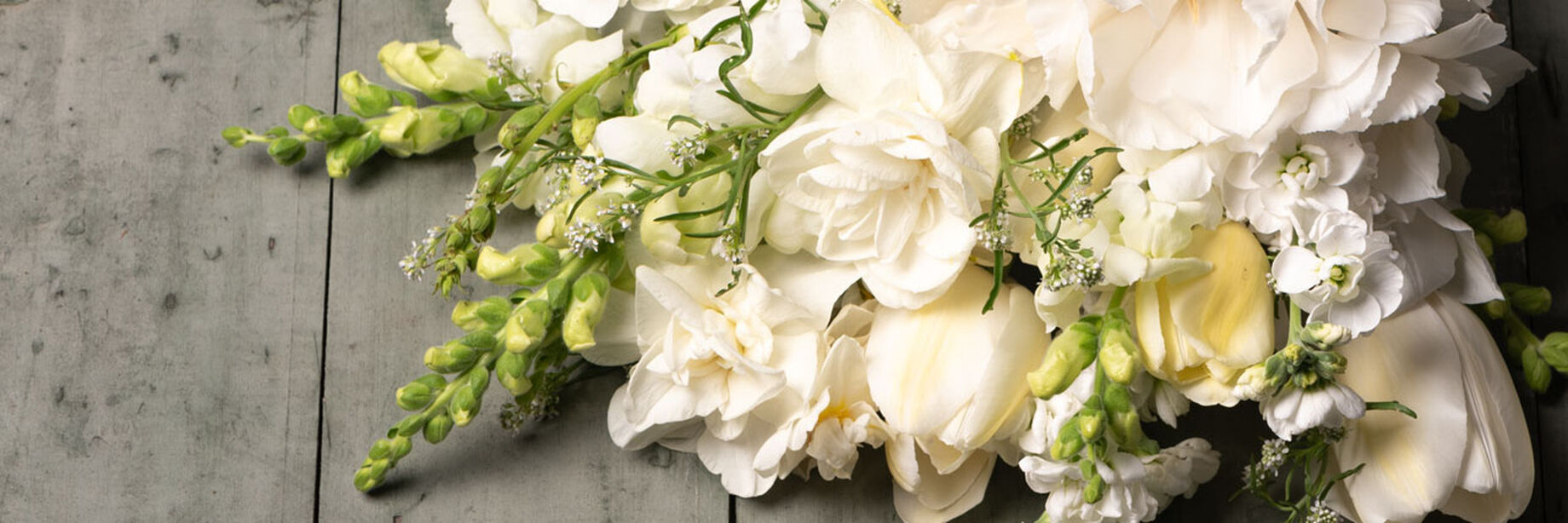White Flower Varieties | Johnny's Selected Seeds