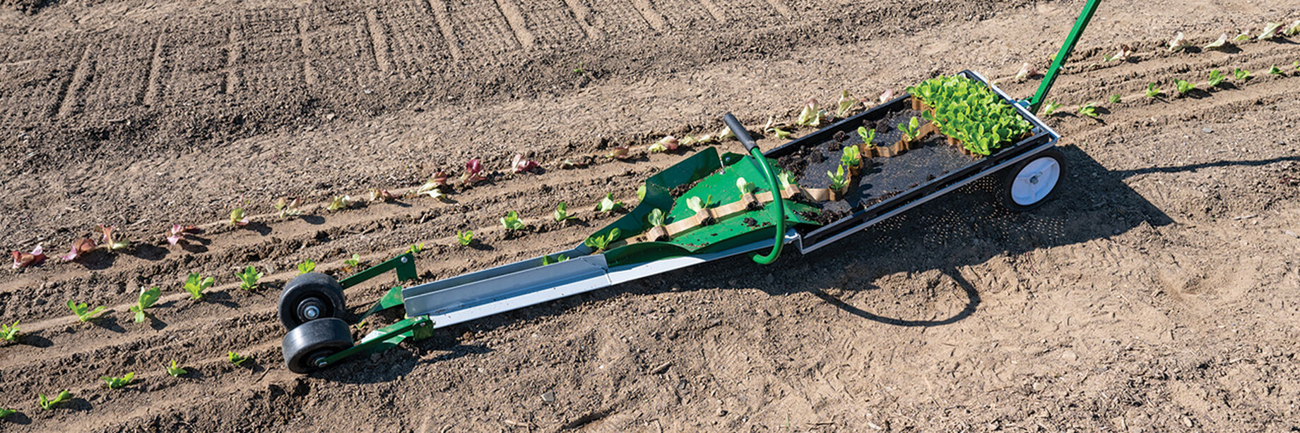 Transplanters | 100% Guaranteed | Johnny's Selected Seeds