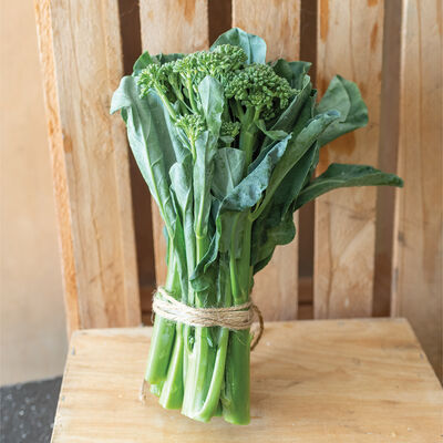 Mini Broccoli Seeds - Purple Sprouting, Gai lan & Raab | Johnny's ...