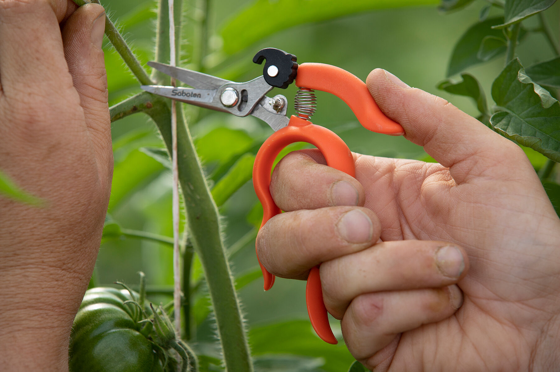 Hands-Free Pruning Shears – Stainless Steel | Johnny's Selected Seeds