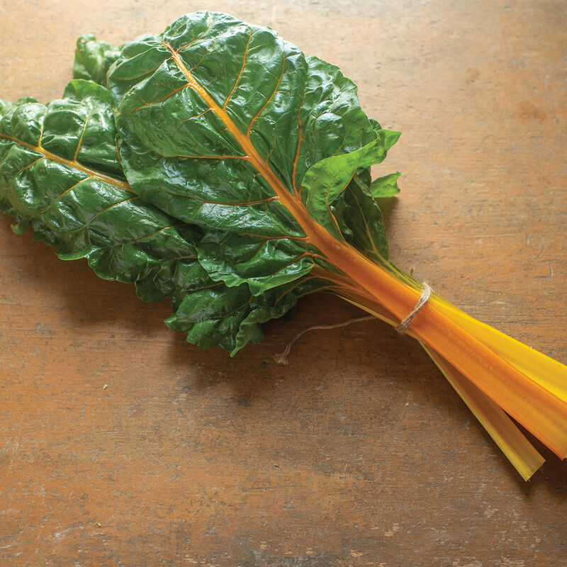 Heart of Gold - Organic Swiss Chard Seed | Johnny's Selected Seeds