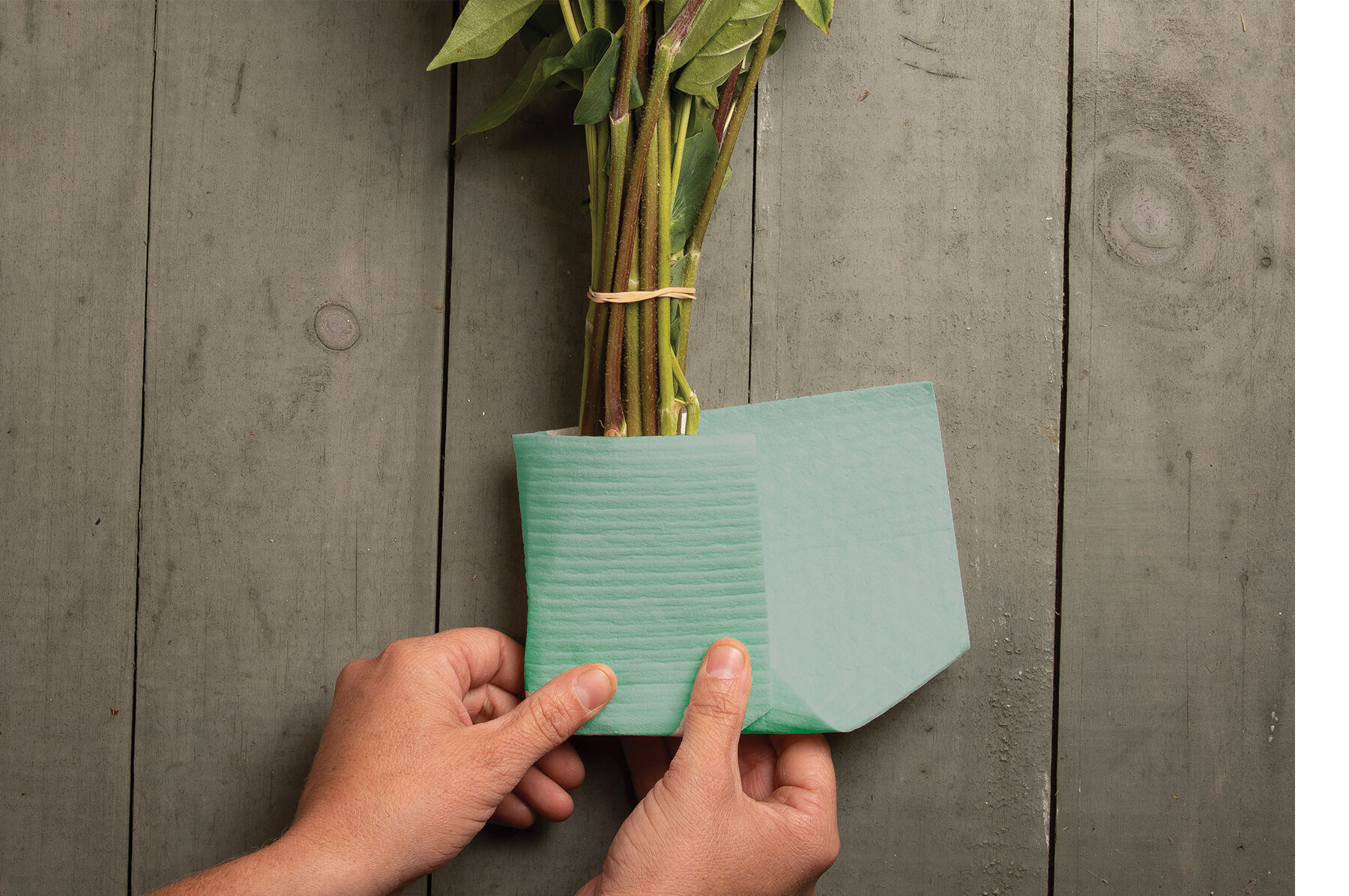 Eco-Wraps™ – L | Johnny's Selected Seeds