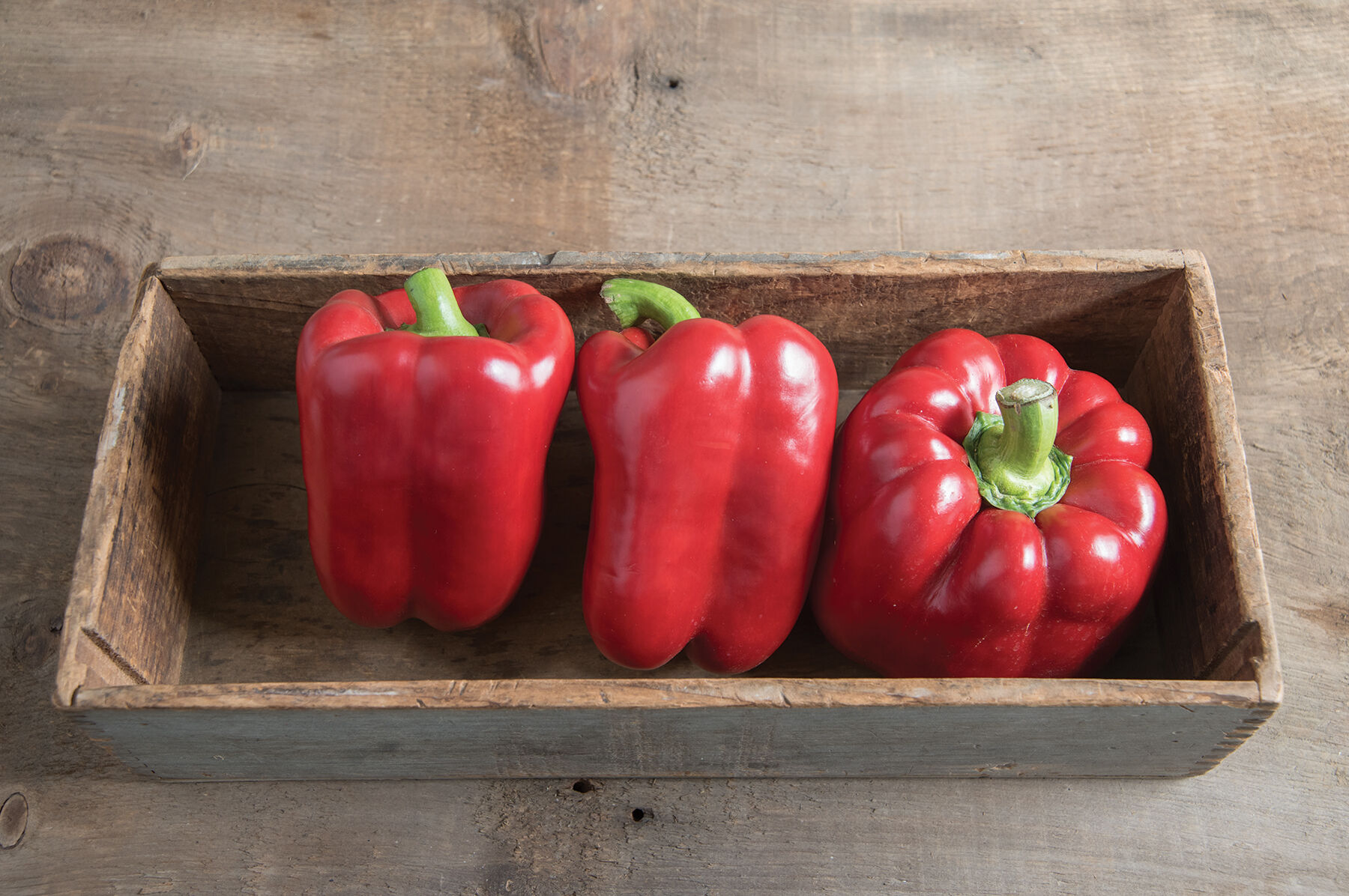 Autry - (F1) Bell Pepper Seed | Johnny's Selected Seeds