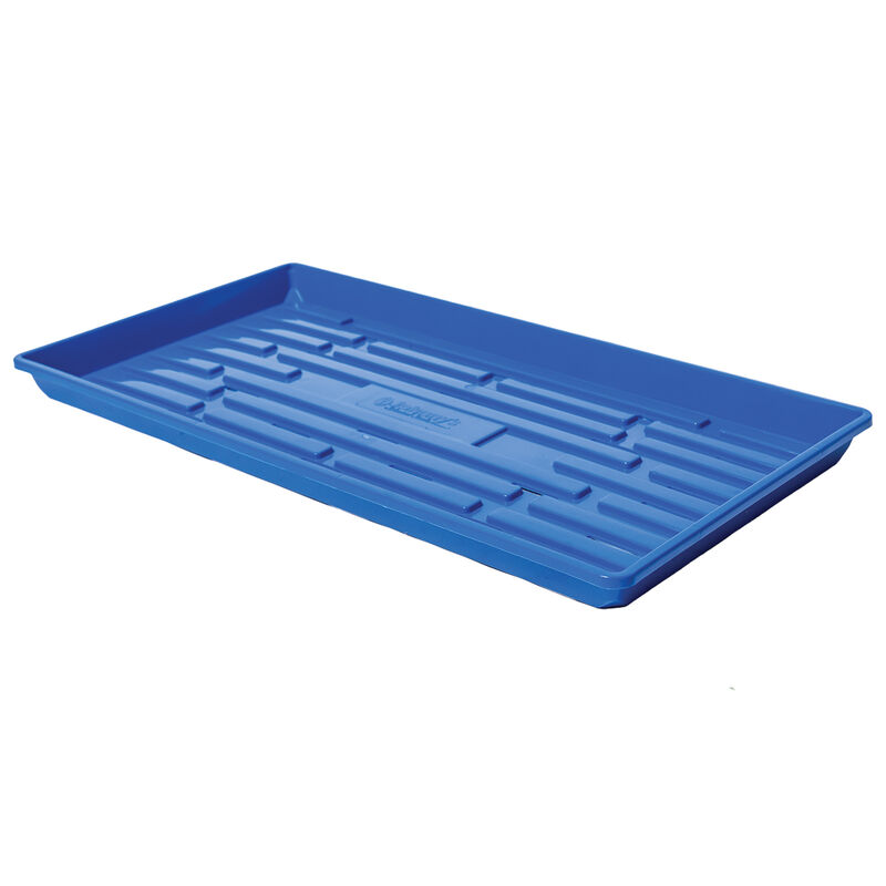Polypro Shallow Tray (With Holes), Blue – 4 Count | Johnny's Selected Seeds