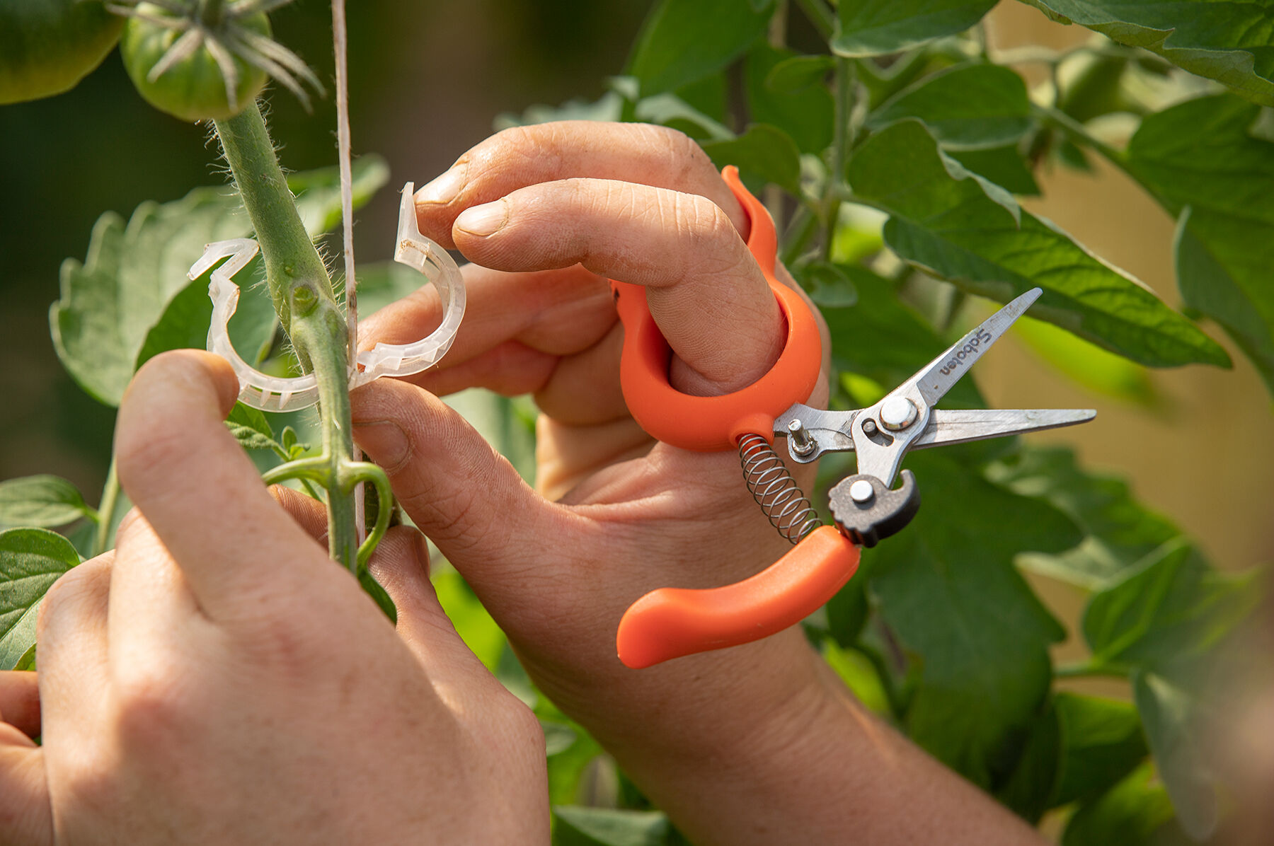 Hands-Free Pruning Shears – Stainless Steel | Johnny's Selected Seeds