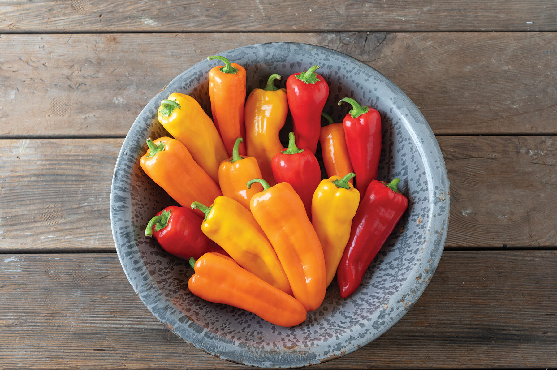 Sweet Pepper Seeds Organic Varieties Johnny s Selected Seeds