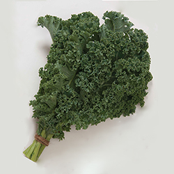 Elegance Greens Mix - Vegetable Seed | Johnny's Selected Seeds