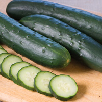 Request a Free Seed Catalog | Johnny's Selected Seeds