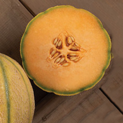 Watermelon Seeds for Planting | Johnny's Selected Seeds