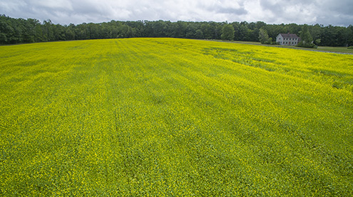 Bulk Seed Index: Savings on 100% Guaranteed, Non-GMO, Organic, Johnny's ...