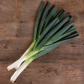 Leek Varieties | Planting/Harvesting Program Comparison Chart | Johnny ...