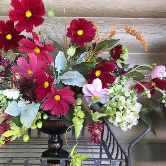 Late Summer Crops for Slow Flowers Bouquets| Johnny's Selected Seeds