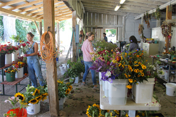 Building a Better Market Bouquet for Flower Farmers | Johnny's Selected ...