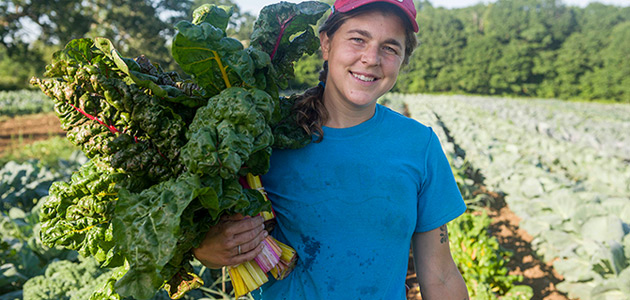 Recommended Crops for Interval Succession Planting | Johnny's Selected ...