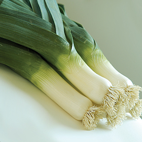 Leek Varieties | Planting/Harvesting Program Comparison Chart | Johnny ...