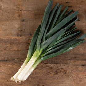 Leek Varieties | Planting/Harvesting Program Comparison Chart | Johnny ...