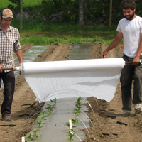 Agribon+ AG-15 – 118" x 1,500' - Insect Barrier | Johnny's Selected Seeds