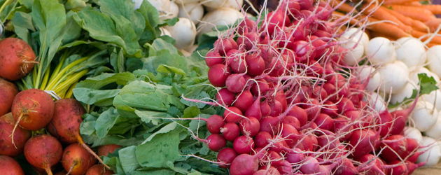 Shop Johnny's Selected Seeds