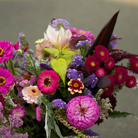 Late Summer Crops for Slow Flowers Bouquets| Johnny's Selected Seeds