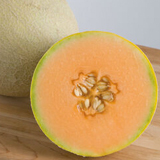 Torpedo - (F1) Melon Seed | Johnny's Selected Seeds
