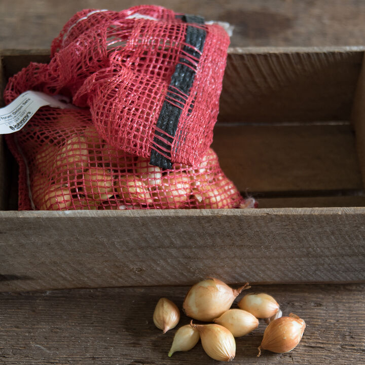 Johnny’s Selected Seeds | Supporting Farms & Gardens Since 1973